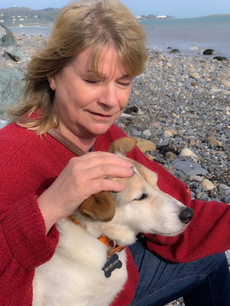 Handmade Dog Collars Ireland | Chew Barker Collars